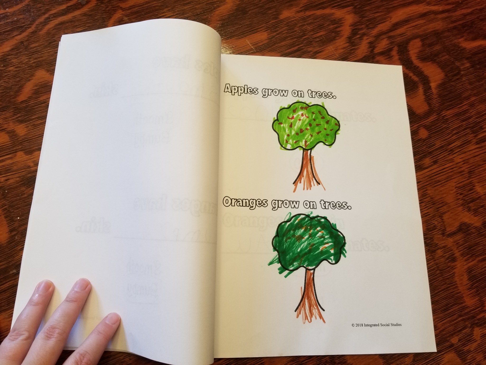 Elections for the Littlest Learners – Integrated Social Studies