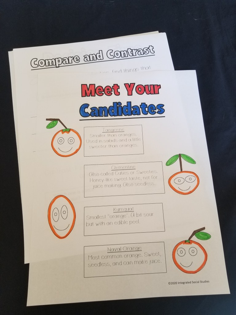 Primaries and Elections for the Littles – Integrated Social Studies