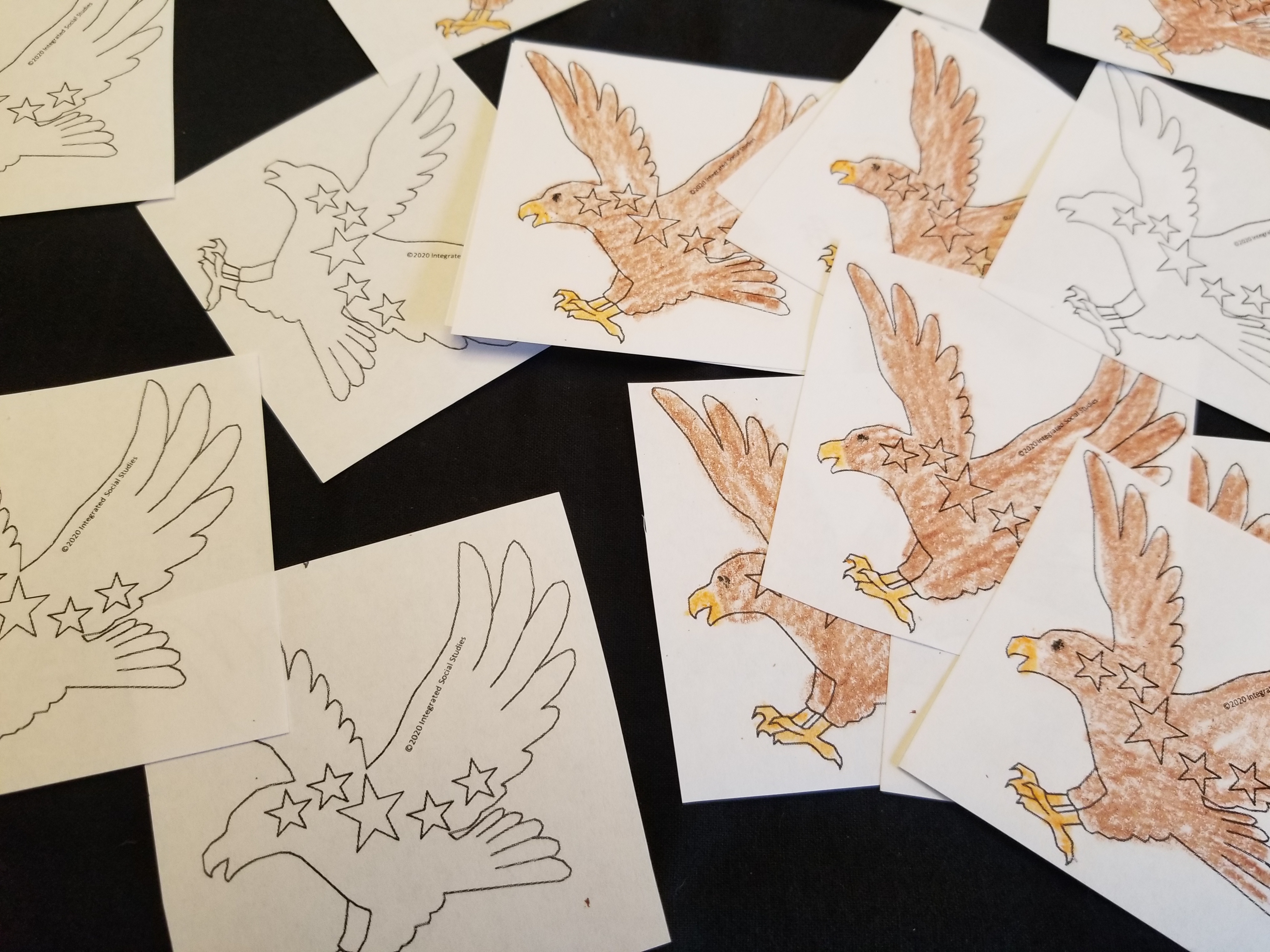 Whole School Presidential Election Activity – Integrated Social Studies