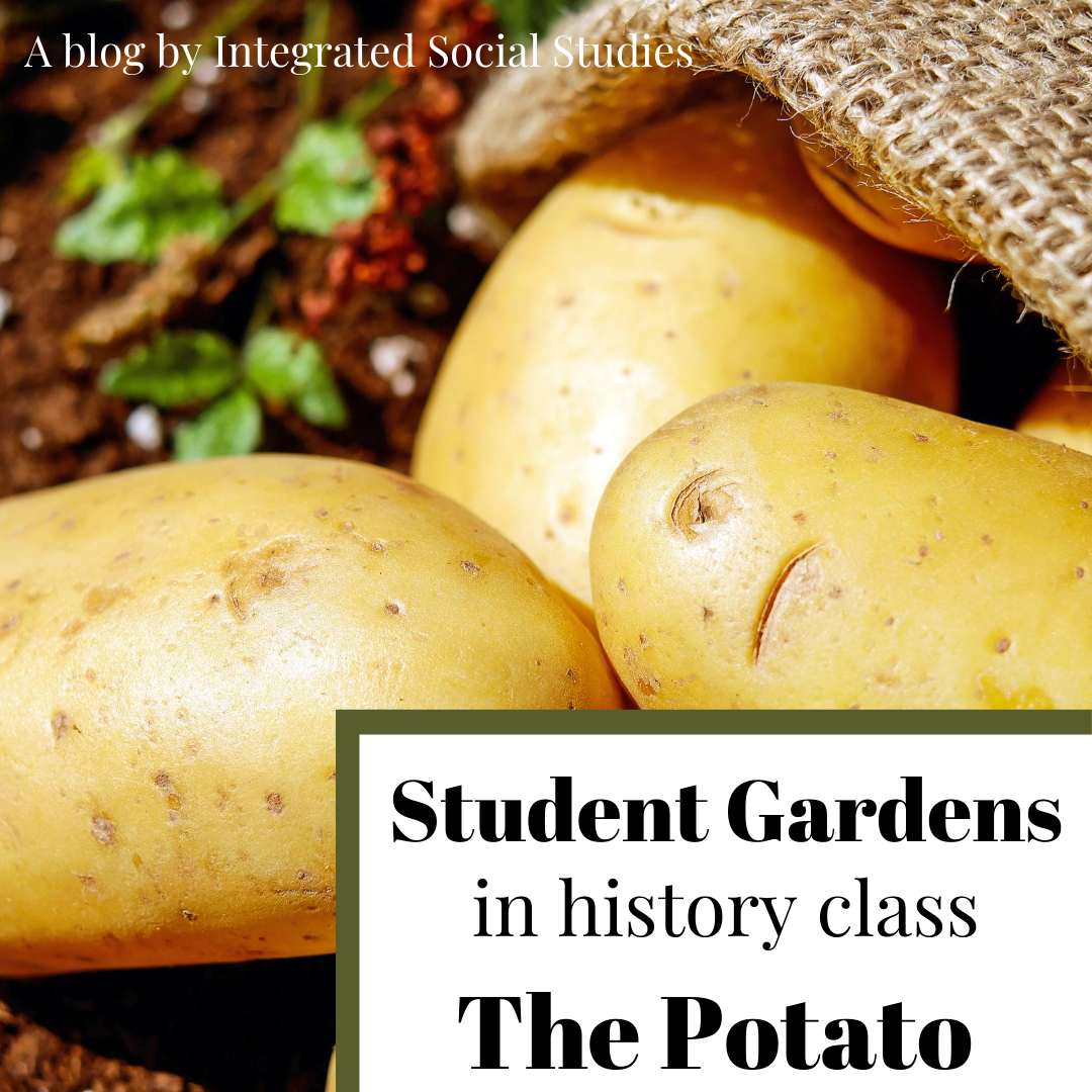 Student Gardens in History Class: The Potato – Integrated Social Studies